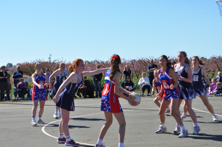 UNDER 15 NETBALL GIRLS - Tyntynder Football Club - GameDay