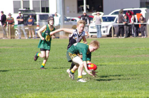 Football Results - Navarre Football Club - GameDay